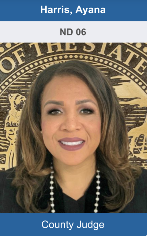 Ayana Harris | City of Miami (Historic Negro) Black Police Precinct and ...